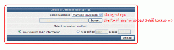 คู่มือการใช้งาน Directadmin Web Control Panel - การใช้งาน MySQL